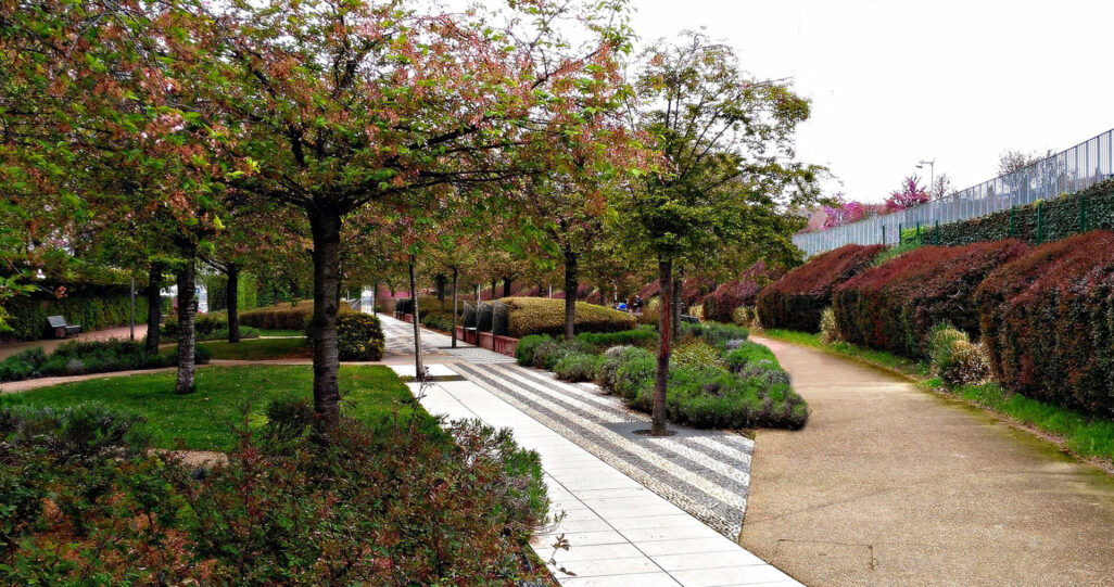 La disponibilità di verde pubblico nelle città italiane - Openpolis